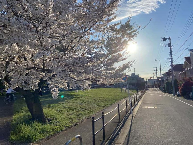 Tokyo: Explore the Authentic Life of a Residential Neighborhood - An In-Depth Look at the Neighborhood Experience