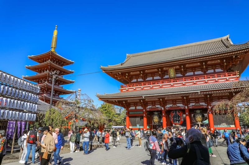 Tokyo: Explore With Expert Guides on a Private Tour - Explore Hidden Gems and Popular Attractions