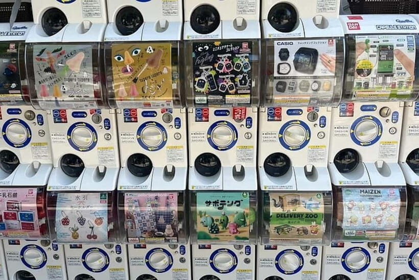 Tokyo: Exploring Anime & Electronics Tour in Akihabara - A Closer Look at the Tour Itinerary