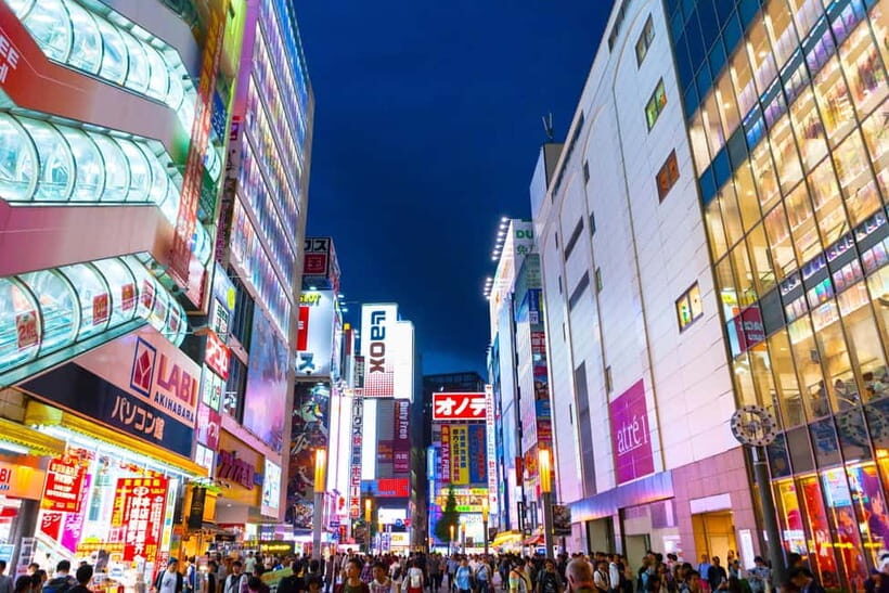 Tokyo Family Private Tour: Meiji Shrine & Sanrio Puroland - Why This Tour Offers Great Value