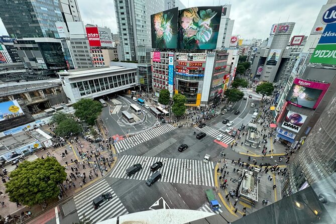 Tokyo Famous Spot Day Tour by Exclusive Car - Booking and Cancellation