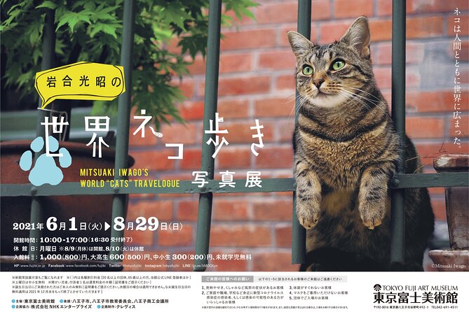 Tokyo Fuji Art Museum Admission Ticket + Special Exhibition (When Being Held) - Accessibility
