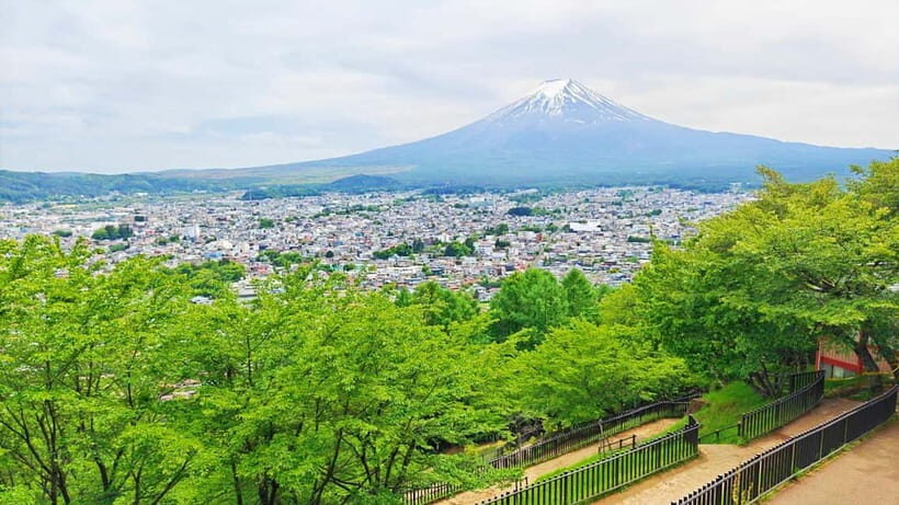 Tokyo: Fuji Cable Car Tour (Ticket Inc.)  Kawaguchiko Views - The Sum Up