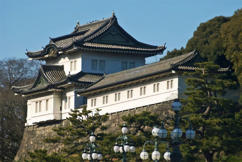 Tokyo: Fuji, Hakone, Kamakura Private Tour /w English Driver - The Experience of a Private Driver: Pros and Cons