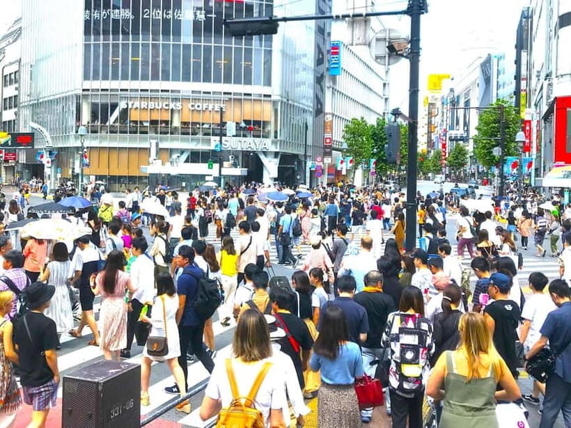 Tokyo: Full Course Tour: Explore 15 Must-Sees & Hidden Gems - The Sum Up