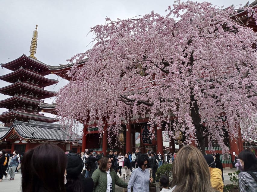 Tokyo: Full-day Immersive Private Tour by Premium Car - Exploring Tokyos Iconic Landmarks