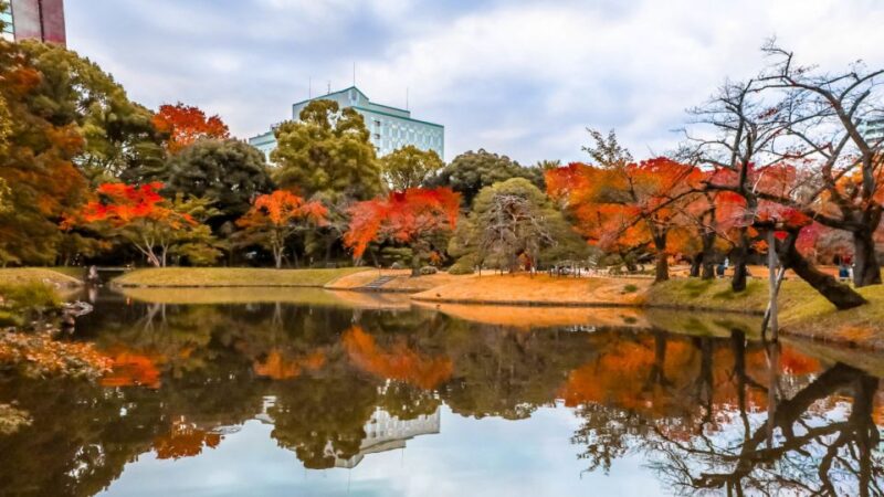 Tokyo: Full-Day Japanese Garden Private Guided Tour - Key Points