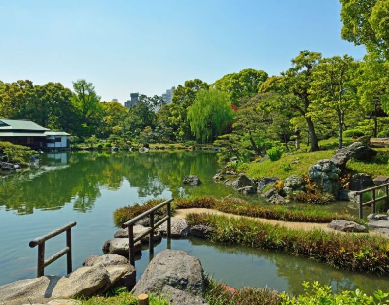 Tokyo: Full-Day Japanese Garden Private Guided Tour - Experience Highlights