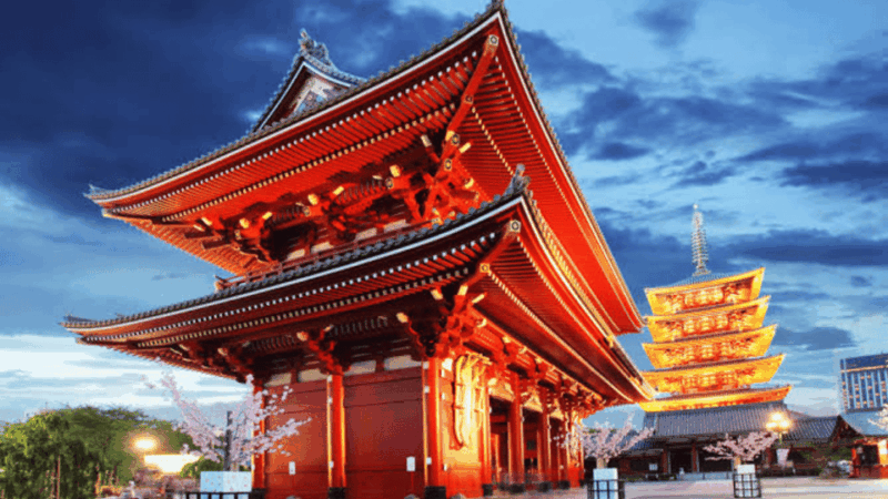 Tokyo Full Day Private Customized Tour With English Driver - Key Points