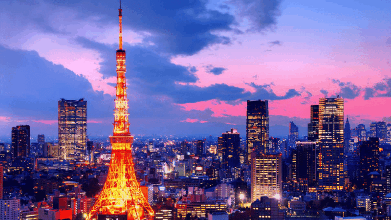 Tokyo Full Day Private Customized Tour With English Driver - Itinerary Highlights