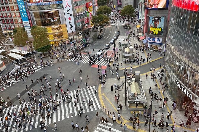 Tokyo Full Day Private Tour With English Guide Driver - Accessibility and Participation