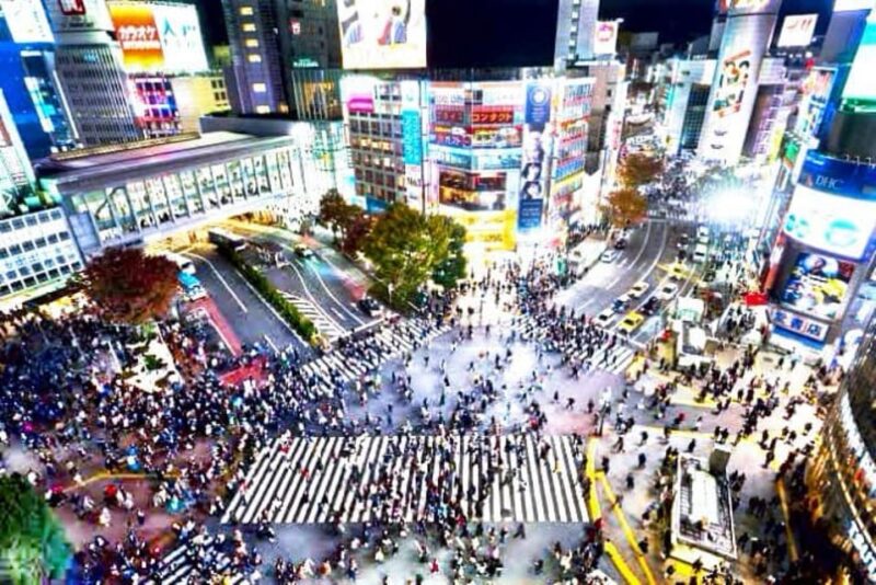 Tokyo Full Day Private Tour With English Speaking Driver - Key Points