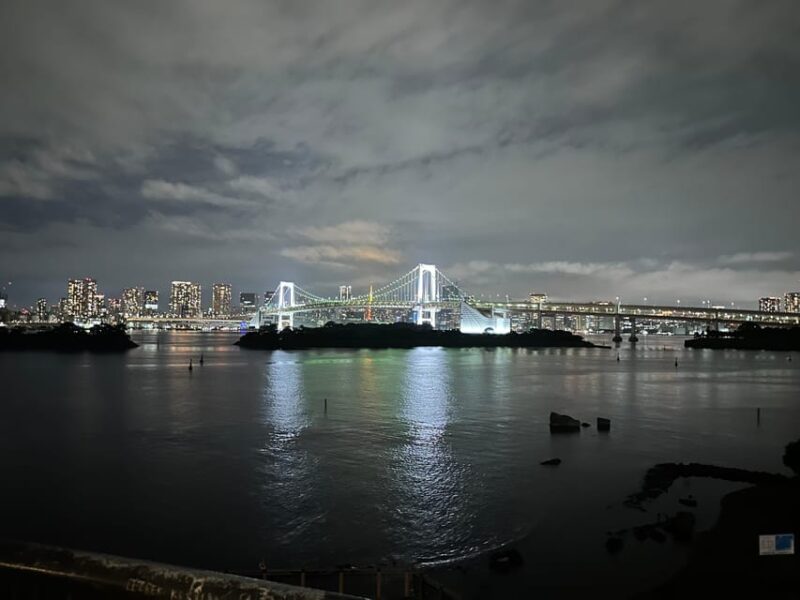 Tokyo Full Day Private Tour With Guide - Tour Flexibility and Languages