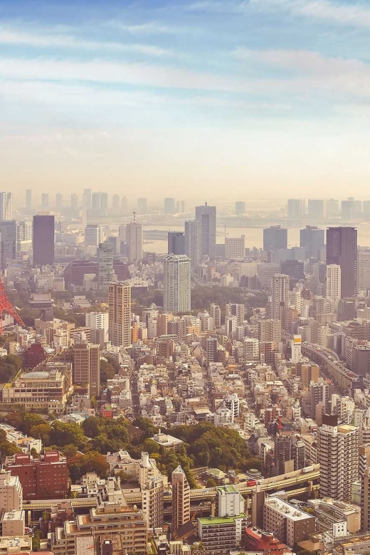 Tokyo: Full Day Private Walking Tour With a Guide - Visiting Historical Landmarks
