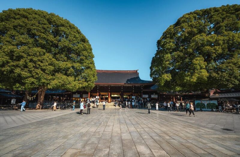 Tokyo Full Day Spanish Speaking Tour With Hotel Pick up and Drop Off. - Shinjuku Experience