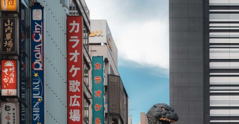 Tokyo Full Day Spanish Speaking Tour With Hotel Pick up and Drop Off. - Shin-Ōkubo Exploration