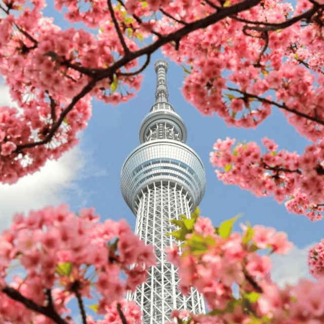 Tokyo: Full Day Tokyo City Private Tour Must Seeing Places - Tokyo Tower
