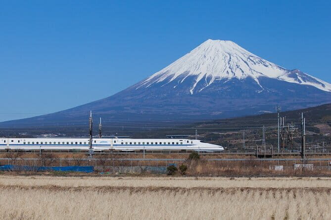 Tokyo Full Day Tour and Sightseeing with local guide - Hand-crafted Chopsticks & Lantern-Making