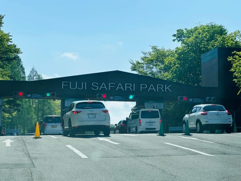 Tokyo Full Day Tour by Car English Speaking Driver Guide - Senso-ji Temple: Edo Atmosphere and Kaminarimon