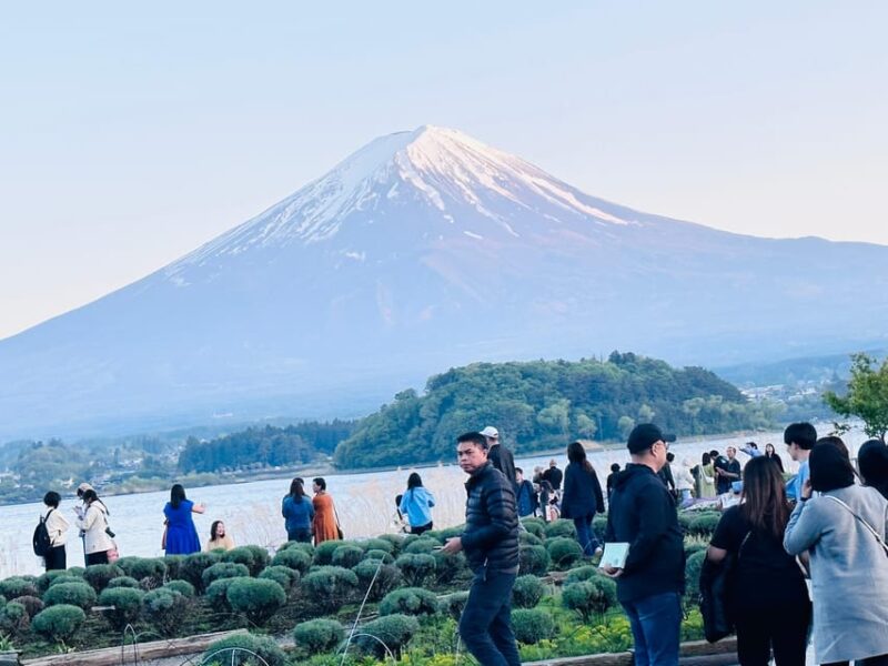 Tokyo Full Day Tour by Car English Speaking Driver Guide - Frequently Asked Questions