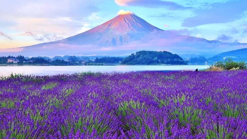 Tokyo: Full-Day Tour of the Six Majestic Spots of Mt Fuji - Introduction to the Tour