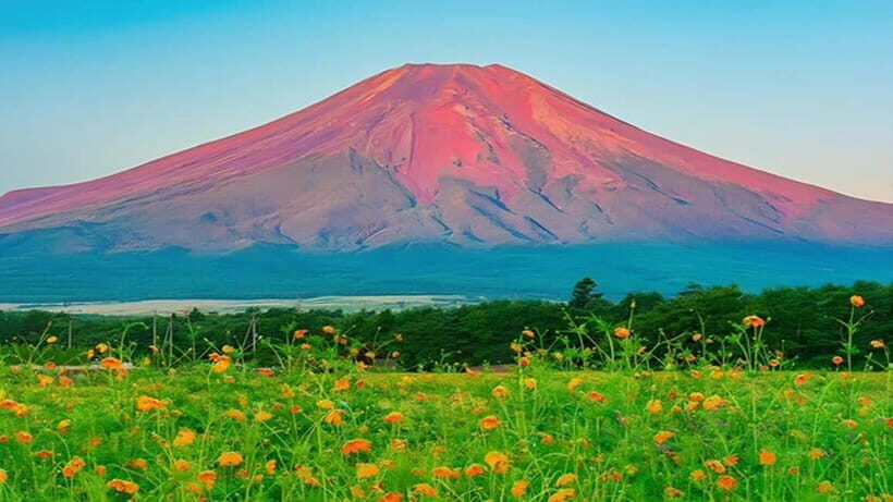 Tokyo: Full-Day Tour of the Six Majestic Spots of Mt Fuji - Practical Details and Considerations