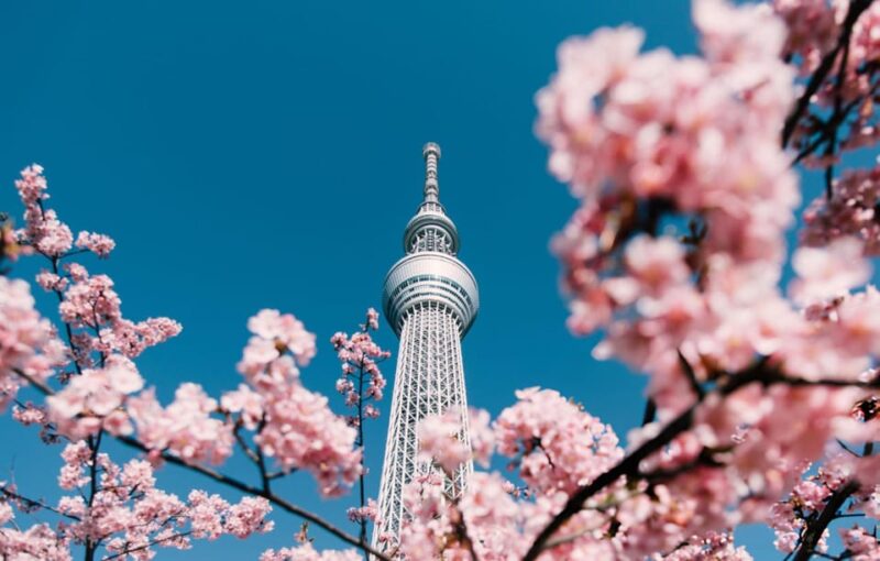 Tokyo Full-Day Tour Skytree Meiji Shrine With English Driver - Tour Features and Inclusions