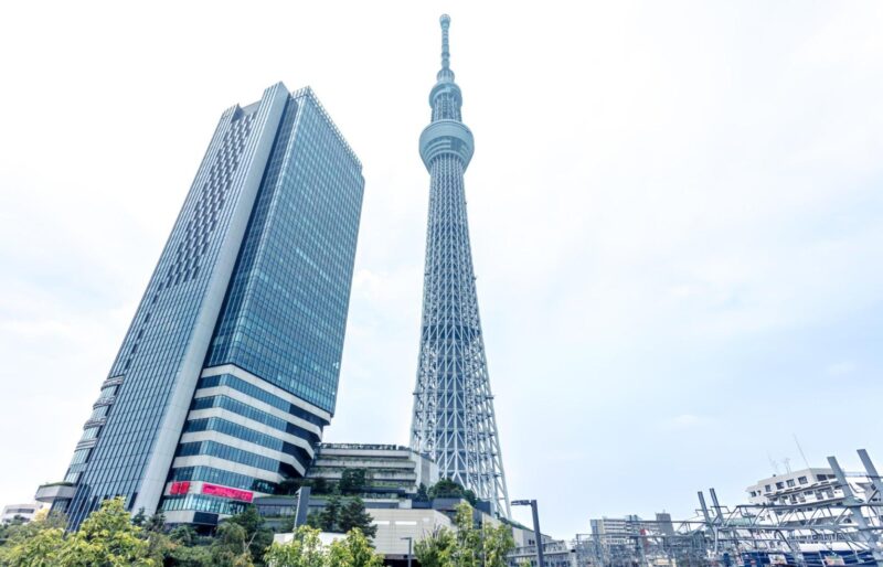 Tokyo Full-Day Tour Skytree Meiji Shrine With English Driver - Important Information