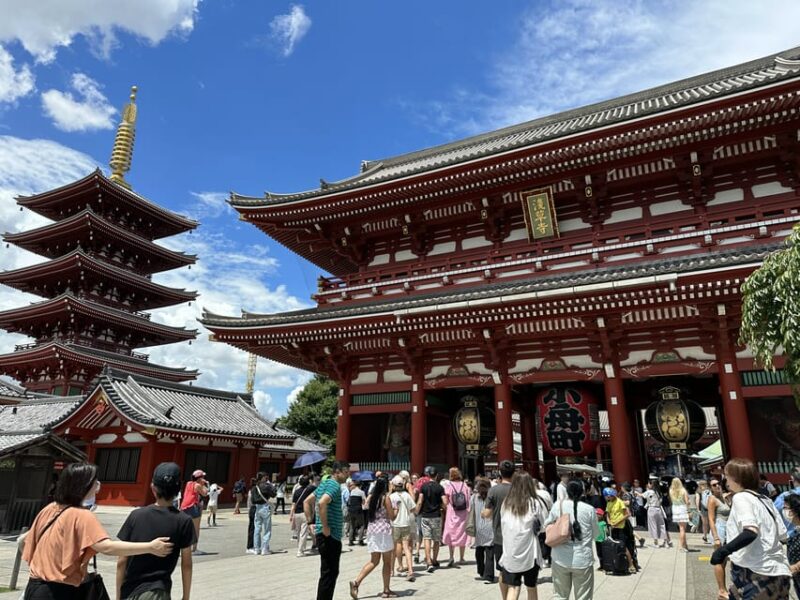 Tokyo: Full-Day Tour W/Tea Experience,Buffet Lunch & Cruise - Key Points