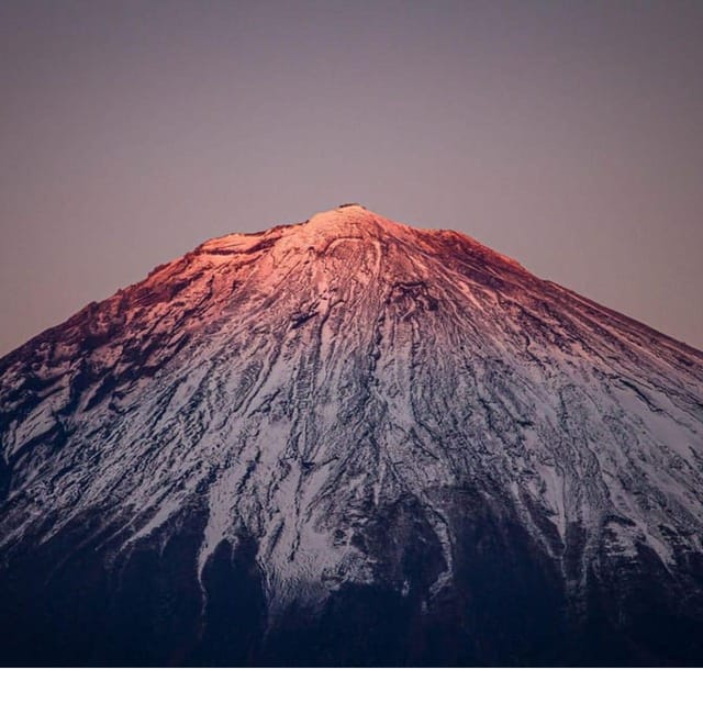 Tokyo: Fully Customised Mount Fuji Private Tour At Low Price - Key Points