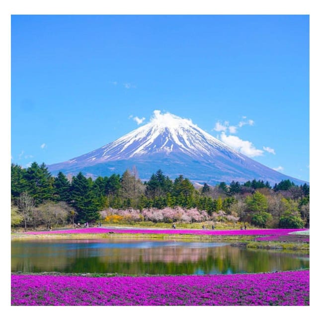Tokyo: Fully Customised Mount Fuji Private Tour At Low Price - Exploring Mount Fujis Grandeur