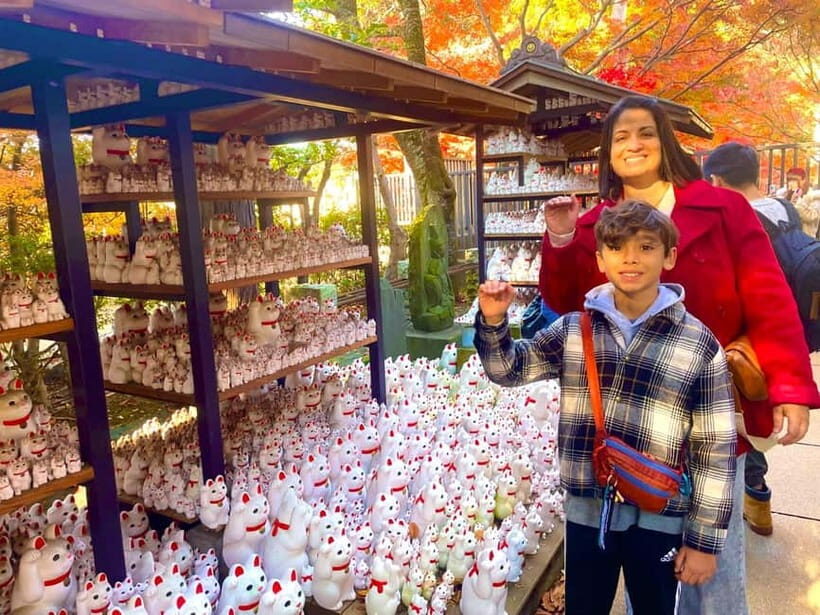 Tokyo: Gotokuji Cat Temple, Shinjuku Cat Cafe & 3D Cat Tour - Introduction
