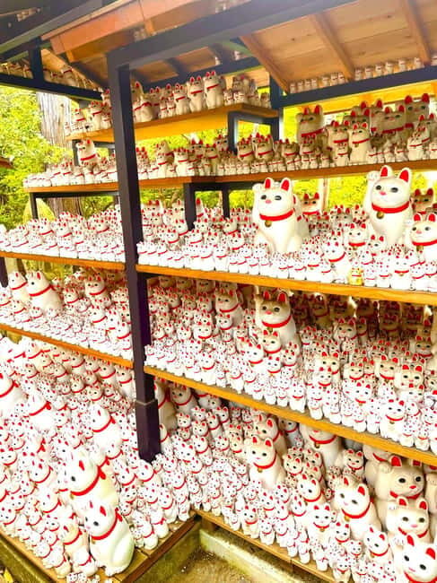 Tokyo: Gotokuji Cat Temple, Shinjuku Cat Cafe & 3D Cat Tour - The Cat Café Experience: A Highlight for Many
