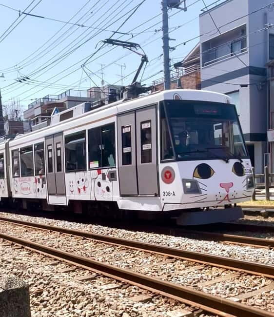 Tokyo: Gotokuji Cat Temple, Shinjuku Cat Cafe & 3D Cat Tour - Shopping and Sweets at Cat Town