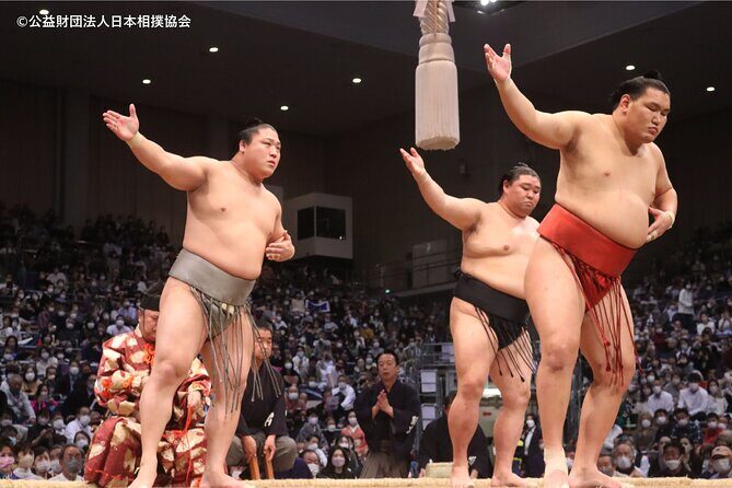 Tokyo Grand Sumo Tournament Viewing Tour - Watching the Sumo Match