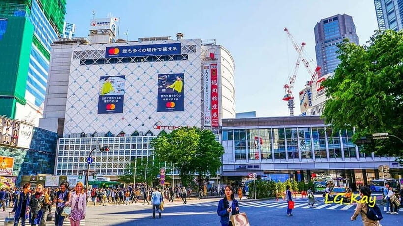 Tokyo: Guided Exploration with a Private Driver - Exploring Tokyo with a Private Driver: An Authentic and Comfortable Approach