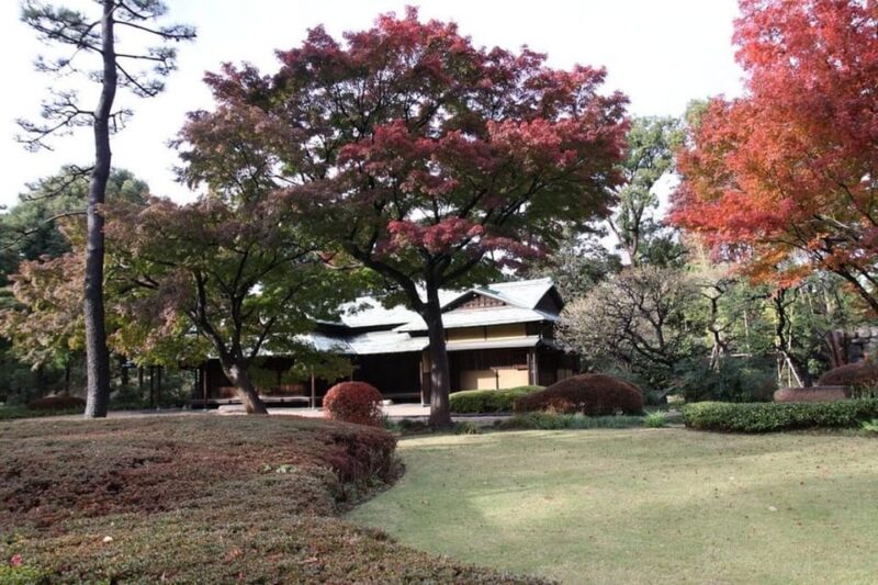 Tokyo: Guided Exploration With a Private Driver - Cultural Experiences