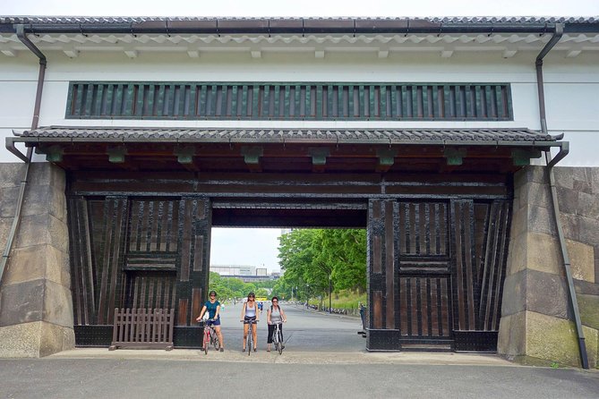 Tokyo Guided Small-Group Biking Tour - Biking Conditions and Experience