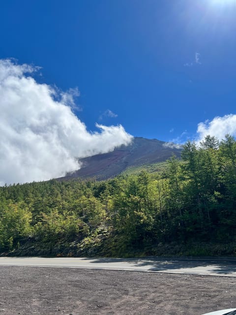 Tokyo: Hakone and Mount Fuji Private Sightseeing Day Tour - Key Points