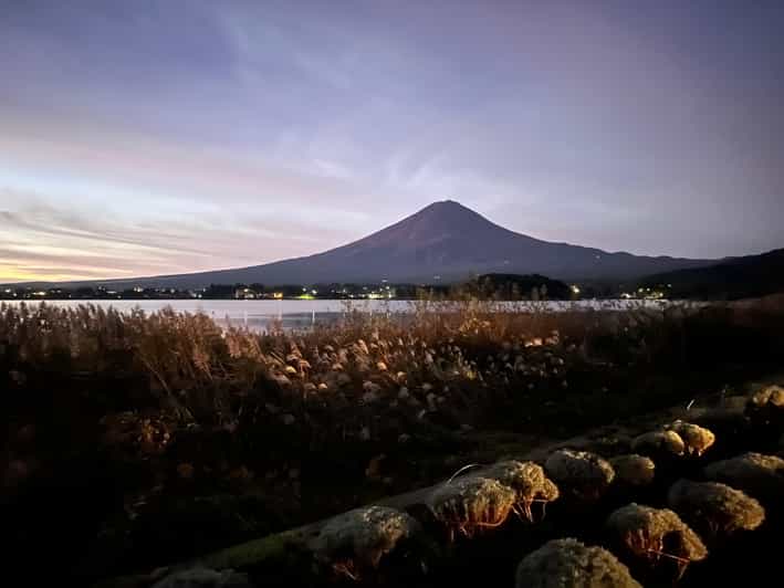 Tokyo: Hakone and Mount Fuji Private Sightseeing Day Tour - Customizable Experience