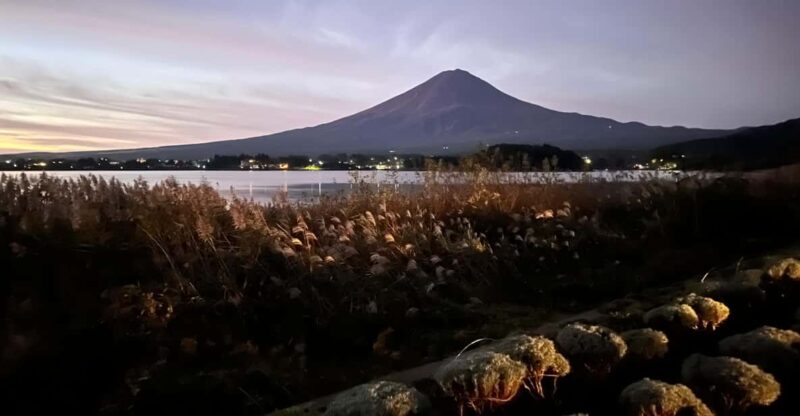 Tokyo: Hakone and Mount Fuji Private Sightseeing Day Tour - Traveler Reviews