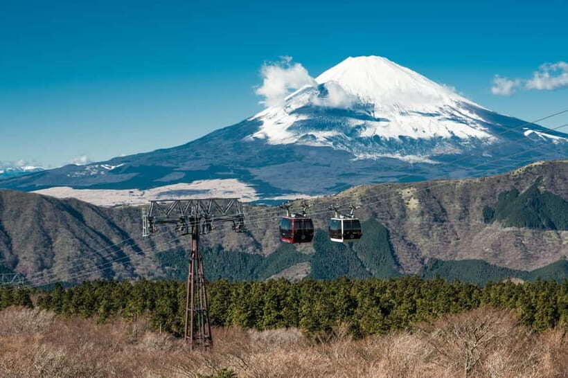 Tokyo: Hakone Fuji Day Tour w/ Cruise, Cable Car, Volcano - Summary of Value
