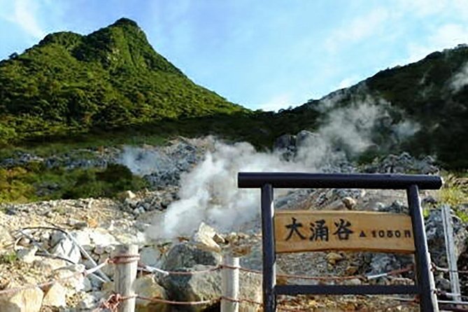 Tokyo: Hakone Fuji Day Tour W/ Cruise, Cable Car, Volcano - Visitor Feedback