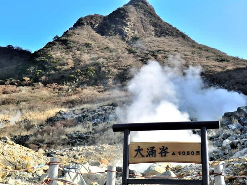 Tokyo: Hakone, Owakudani & Gotemba Premium Outlet 1-Day Tour - FAQ
