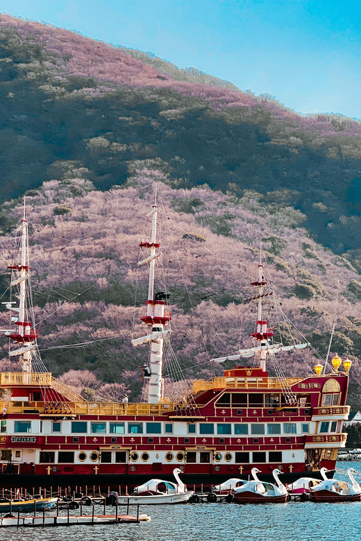 Tokyo: Hakone Private Day Trip With English Speaking Driver - Inclusions