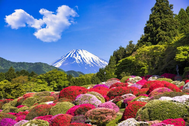 Tokyo : HAKONE X 3xperiences+Owakudani+Gotemba (1 Day Tour) - Key Points