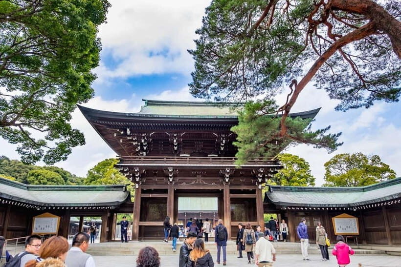 Tokyo: Half-Day Afternoon Small Group Tour - A Practical Look at the Tour Experience