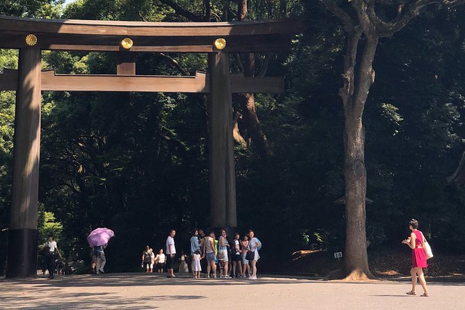 Tokyo Half-day Customized Private Tour - Meeting and Endpoint Details