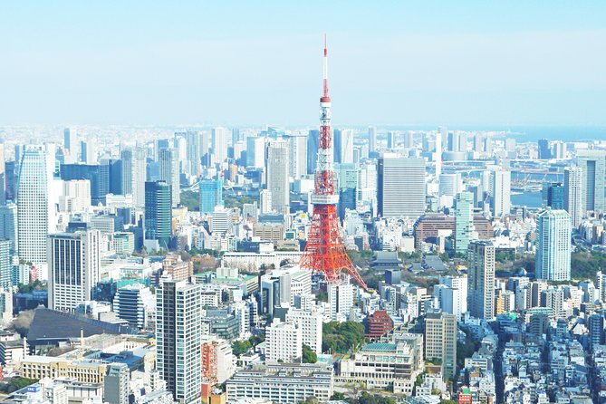 Tokyo Half-day Customized Private Tour - Tour Inclusions and Pricing