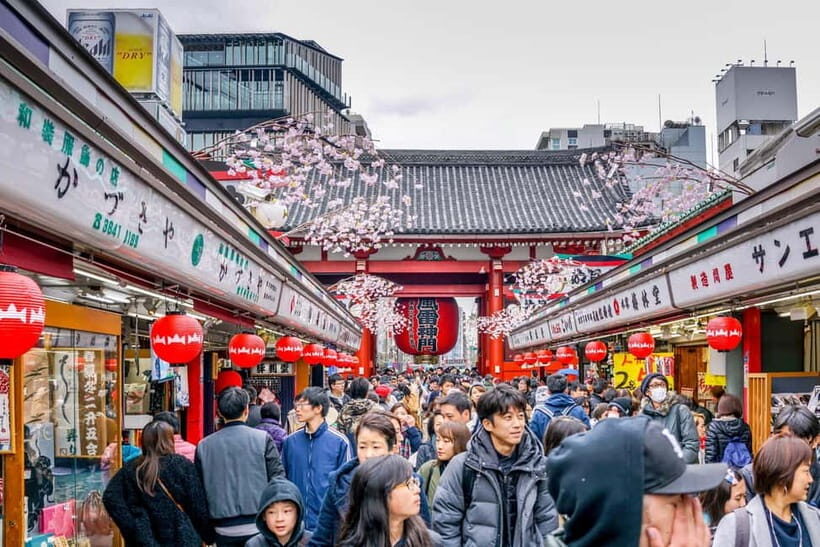 Tokyo: Half-Day Morning Small Group Tour - Tokyo: Half-Day Morning Small Group Tour — A Balanced Look at Japan’s Capital